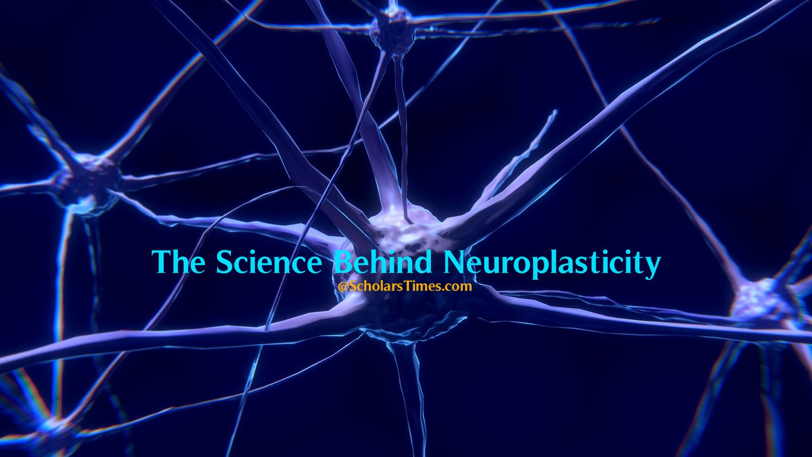 Neuroplasticity: Rewiring Your Brain for Better Function Neuroplasticity: Rewiring Your Brain for Better Function